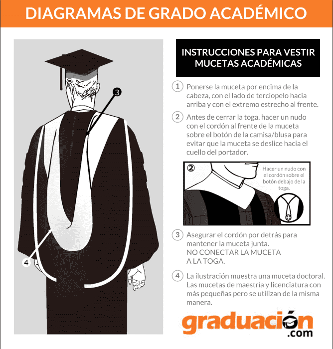 Tablas de Tamaños y Colores - Colores Académicos – Graduacion